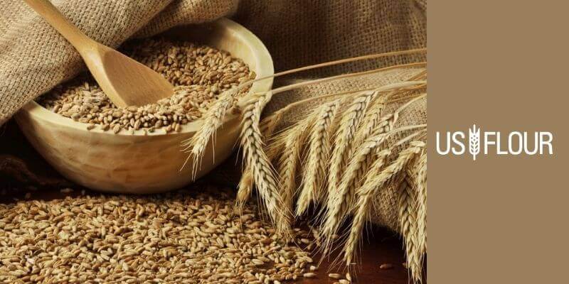 Things To Consider While Buying Wheat In Spring Season - US Flour Corp