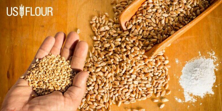Growing Demand for Hard Red Spring Wheat: A Look at Its Nutritional and ...