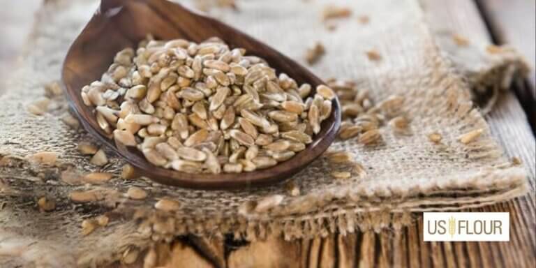 Understanding the Varieties: Exploring Different Types of Wheat Grains